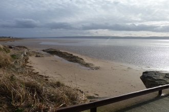 Home | Cheshire Wildlife Trust