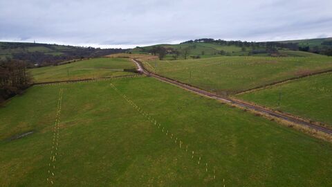 Cheshire Wildlife Trust plant 11,000 trees as part of a pioneering ...