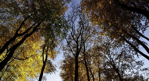 Nature survey thank you | Cheshire Wildlife Trust