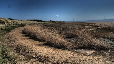 Red Rocks Marsh | Cheshire Wildlife Trust