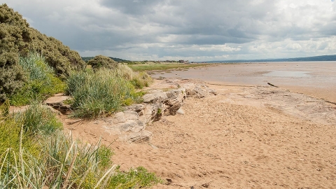 Red Rocks Marsh | Cheshire Wildlife Trust