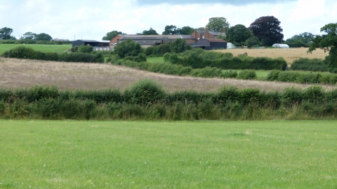 Bickley Hall Farm | Cheshire Wildlife Trust