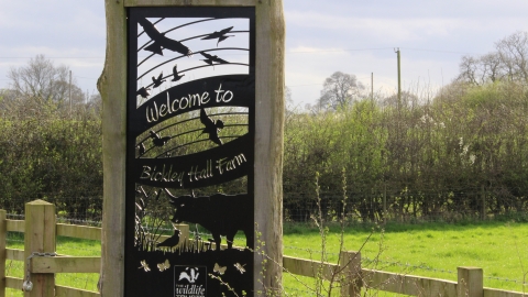 Bickley Hall Farm | Cheshire Wildlife Trust