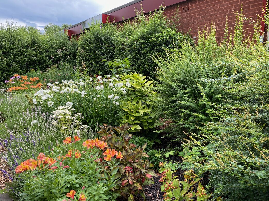 Creating a Wonky Garden in Widnes | Cheshire Wildlife Trust
