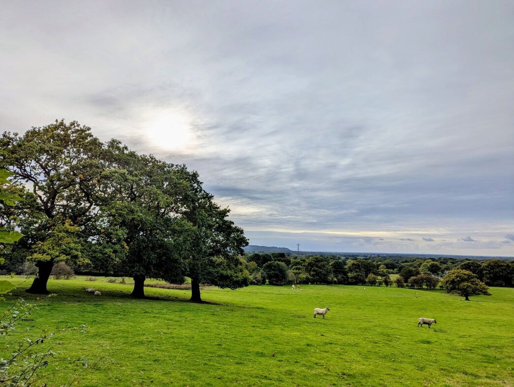 Adlington | Cheshire Wildlife Trust