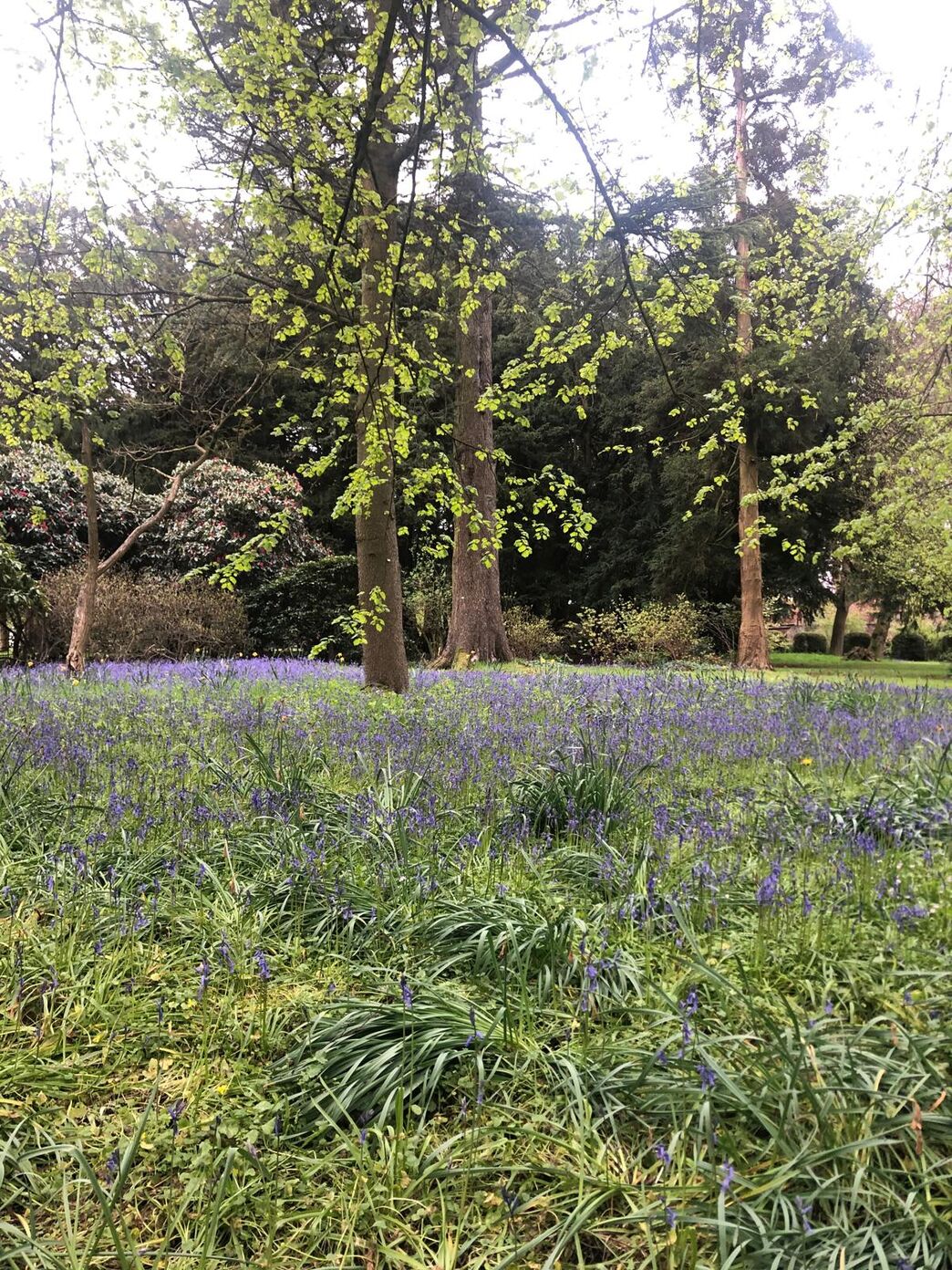 Adlington | Cheshire Wildlife Trust