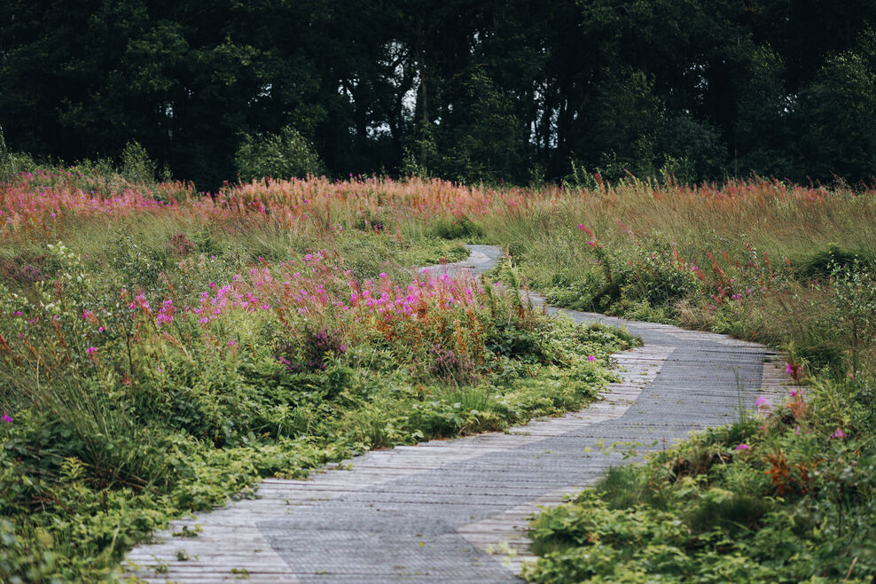Cheshire's Last Refuges Appeal | Cheshire Wildlife Trust
