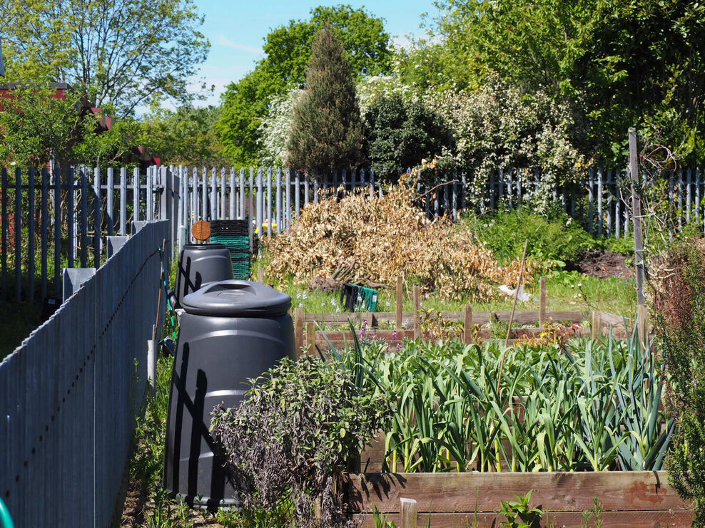 Creating a Wonky Garden in Widnes | Cheshire Wildlife Trust
