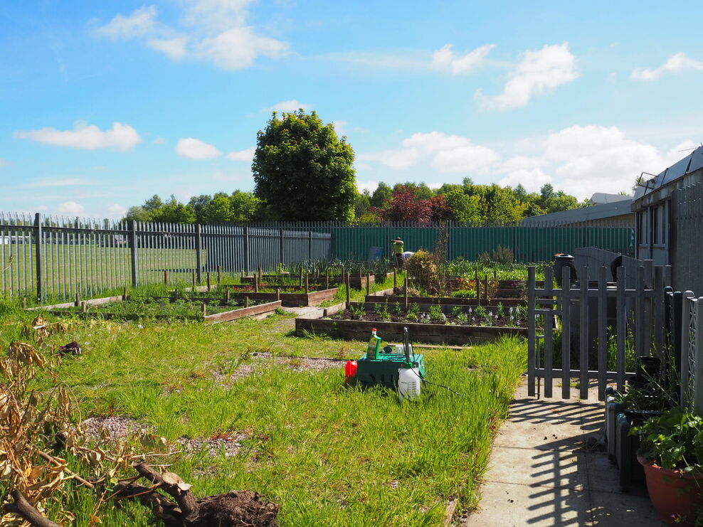 Creating a Wonky Garden in Widnes | Cheshire Wildlife Trust
