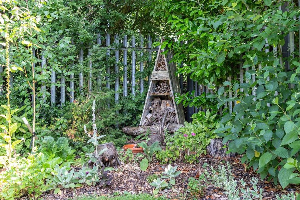 Creating a Wonky Garden in Widnes | Cheshire Wildlife Trust
